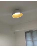 China aisle lights living room Entrance lamp Wood Grain Personality Designer Minimalist ceiling lamp(WH-MA-332) for sale