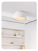 China aisle lights living room Entrance lamp Wood Grain Personality Designer Minimalist ceiling lamp(WH-MA-332) for sale