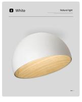 China aisle lights living room Entrance lamp Wood Grain Personality Designer Minimalist ceiling lamp(WH-MA-332) for sale