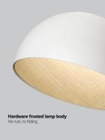 China aisle lights living room Entrance lamp Wood Grain Personality Designer Minimalist ceiling lamp(WH-MA-332) for sale