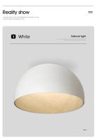 China aisle lights living room Entrance lamp Wood Grain Personality Designer Minimalist ceiling lamp(WH-MA-332) for sale