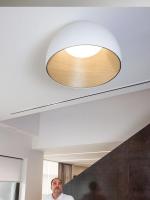 China aisle lights living room Entrance lamp Wood Grain Personality Designer Minimalist ceiling lamp(WH-MA-332) for sale