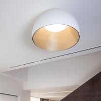 China aisle lights living room Entrance lamp Wood Grain Personality Designer Minimalist ceiling lamp(WH-MA-332) for sale
