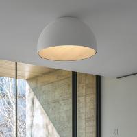 China aisle lights living room Entrance lamp Wood Grain Personality Designer Minimalist ceiling lamp(WH-MA-332) for sale