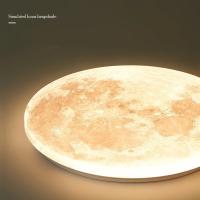 China Home Lighting Bedroom Modern Acrylic Light LED Circular Lunar Ceiling Lamp(WH-MA-334) for sale