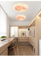 China Home Lighting Bedroom Modern Acrylic Light LED Circular Lunar Ceiling Lamp(WH-MA-334) for sale