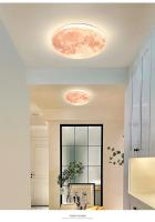 China Home Lighting Bedroom Modern Acrylic Light LED Circular Lunar Ceiling Lamp(WH-MA-334) for sale