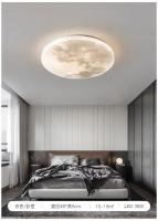 China Home Lighting Bedroom Modern Acrylic Light LED Circular Lunar Ceiling Lamp(WH-MA-334) for sale