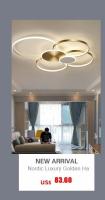 China living Room Lighting LED Child Chandeliers Study Creative Remote control bat Ceiling Lights(WH-MA-339) for sale