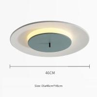 China Bedroom Lamp Living Room Lustre Home Decoration Minimalist Acrylic Color Ceiling Lamp(WH-MA-342) for sale