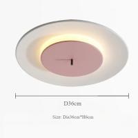 China Bedroom Lamp Living Room Lustre Home Decoration Minimalist Acrylic Color Ceiling Lamp(WH-MA-342) for sale