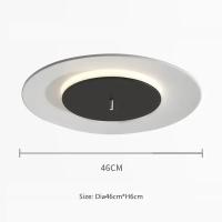 China Bedroom Lamp Living Room Lustre Home Decoration Minimalist Acrylic Color Ceiling Lamp(WH-MA-342) for sale