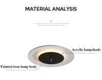 China Bedroom Lamp Living Room Lustre Home Decoration Minimalist Acrylic Color Ceiling Lamp(WH-MA-342) for sale