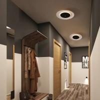 China Bedroom Lamp Living Room Lustre Home Decoration Minimalist Acrylic Color Ceiling Lamp(WH-MA-342) for sale
