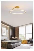 China Luster Light Fixtures Bedroom Study Room Modern Simple Circle Led Ceiling Lamp(WH-MA-346) for sale