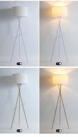 China living room standing lamp bedroom designer fashion simple Nordic floor lamp(WH-VFL-24) for sale