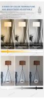 China living room standing lamp bedroom designer fashion simple Nordic floor lamp(WH-VFL-24) for sale