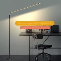 China Reading Lamp Living Room Bedroom Bedside Minimalism LED Floor Lamp(WH-VFL-27) for sale