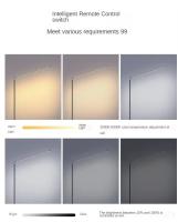 China Reading Lamp Living Room Bedroom Bedside Minimalism LED Floor Lamp(WH-VFL-27) for sale
