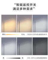 China Reading Lamp Living Room Bedroom Bedside Minimalism LED Floor Lamp(WH-VFL-27) for sale