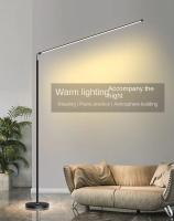 China Reading Lamp Living Room Bedroom Bedside Minimalism LED Floor Lamp(WH-VFL-27) for sale