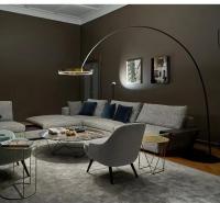 China Home Decor Light Fixture Living Room Coffee Tables Ring Design LED Mito Largo Floor Lamp(WH-VFL-29) for sale