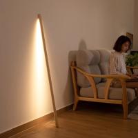 China Atmosphere Lamp Living Room Sofa Nordic Black Walnut Ash Stay Against Wall Floor Lamp(WH-VFL-33) for sale