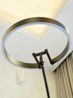 China Living Room Sofa Light Bedroom Home Decor Circle Lamp Modern LED Mito Largo Floor Lamp(WH-MFL-193) for sale