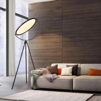 China Bedside Floor Lamp LED Tripod Lamp Study Decoration Remote Dimming Flos Superloon Floor Lamp(WH-MFL-197) for sale