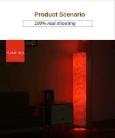 China Decoration Stand Lamp Bedroom Game with Remote Control LED Simple Design Floor Lamps(WH-MFL-199) for sale