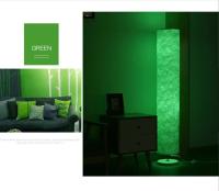 China Decoration Stand Lamp Bedroom Game with Remote Control LED Simple Design Floor Lamps(WH-MFL-199) for sale