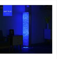 China Decoration Stand Lamp Bedroom Game with Remote Control LED Simple Design Floor Lamps(WH-MFL-199) for sale