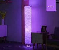 China Decoration Stand Lamp Bedroom Game with Remote Control LED Simple Design Floor Lamps(WH-MFL-199) for sale
