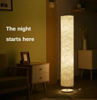 China Decoration Stand Lamp Bedroom Game with Remote Control LED Simple Design Floor Lamps(WH-MFL-199) for sale