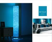 China Decoration Stand Lamp Bedroom Game with Remote Control LED Simple Design Floor Lamps(WH-MFL-199) for sale