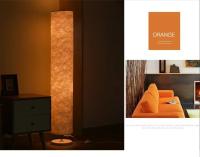 China Decoration Stand Lamp Bedroom Game with Remote Control LED Simple Design Floor Lamps(WH-MFL-199) for sale