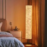 China Decoration Stand Lamp Bedroom Game with Remote Control LED Simple Design Floor Lamps(WH-MFL-199) for sale
