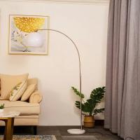 China Home Decoration Lamp Study Sofa Coffee Table Reading Minimalist Fishing Floor Lamp(WH-MFL-209) for sale