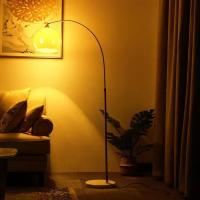 China Home Decoration Lamp Study Sofa Coffee Table Reading Minimalist Fishing Floor Lamp(WH-MFL-209) for sale