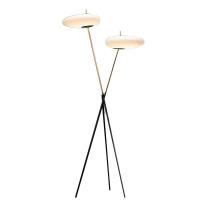 China Bedroom Led Lights Living Room Decorations Postmodern Designer Floor Lamps(WH-MFL-220) for sale