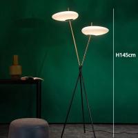China Bedroom Led Lights Living Room Decorations Postmodern Designer Floor Lamps(WH-MFL-220) for sale