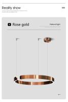 China Mito sospeso chandelier Nordic Led Dimmable ring light staircase lamp (WH-NC-134) for sale