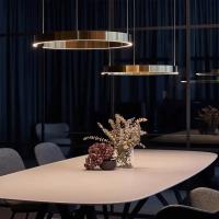China Mito sospeso chandelier Nordic Led Dimmable ring light staircase lamp (WH-NC-134) for sale