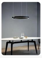 China Mito sospeso chandelier Nordic Led Dimmable ring light staircase lamp (WH-NC-134) for sale