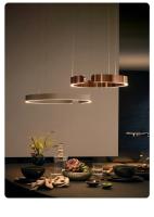 China Mito sospeso chandelier Nordic Led Dimmable ring light staircase lamp (WH-NC-134) for sale