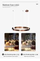 China Mito sospeso chandelier Nordic Led Dimmable ring light staircase lamp (WH-NC-134) for sale
