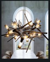China Thorn Chandeliers Postmodern Novelty Long Hanging Lamp (WH-NC-143) for sale