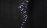 China Butterfly Crystal Chandelier Living Room Crystal Staircase Pendant Light Indoor Large LED Lights(WH-NC-165) for sale