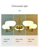 China Bauhaus Medieval Modern French Bedroom Study Room Living Room Kitchen Chandelier Puja Chandeliers(WH-MI-474) for sale