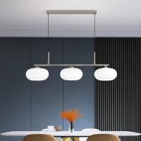 China Bedroom Living Room Kitchen Home Decor Light Modern Led Chandelier Pendant Lamp (WH-MI-482) for sale